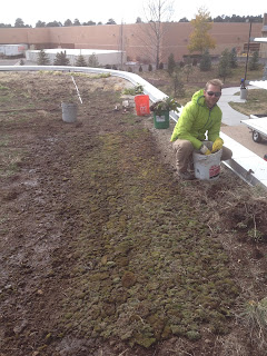 Forest-Rangeland Soil Ecology Lab: Rooftop Mosscaping Project Begins on ...