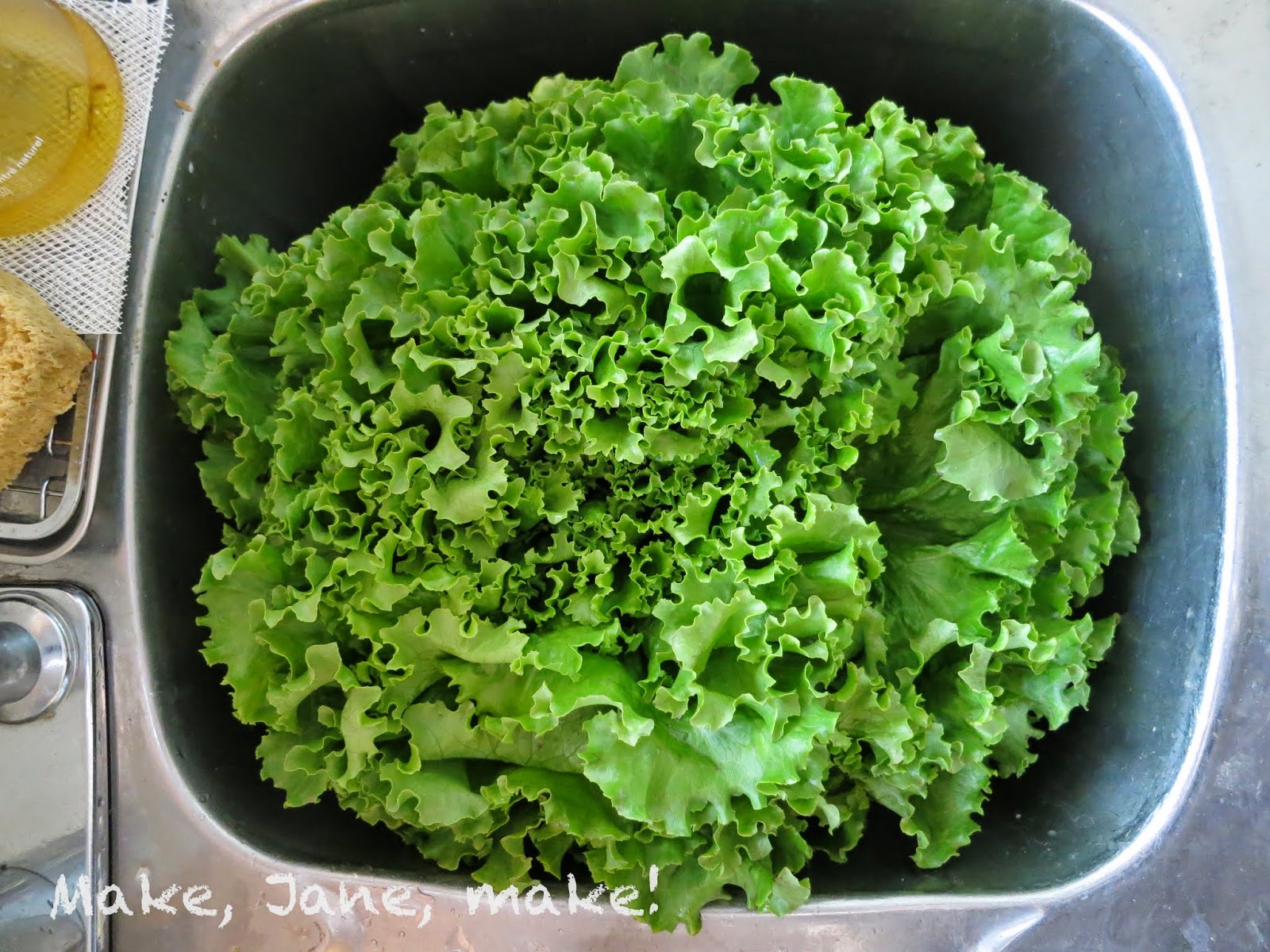 Make, Jane, make!: Where to put all that lettuce?