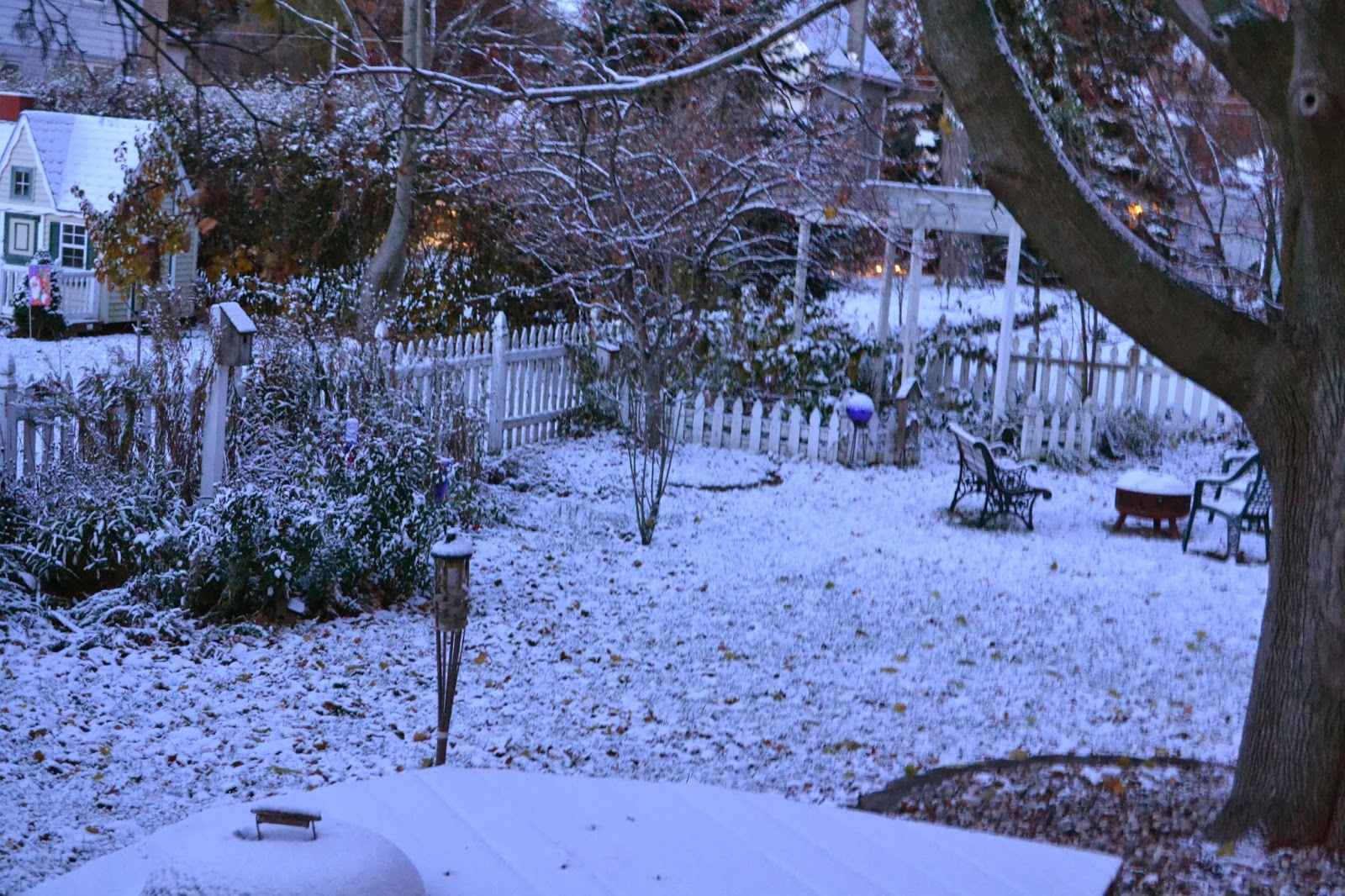 Stories from a small town...: First snow of winter...