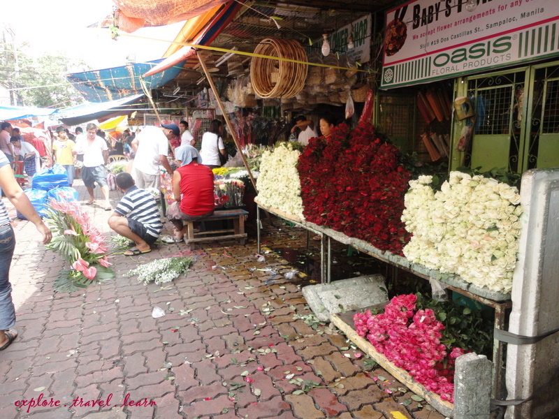 explore . travel . learn: DANGWA: Fresh Flower Market