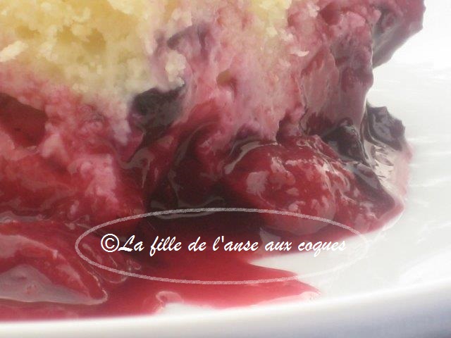 La fille de l'anse aux coques: POUDING AUX FRAISES ET AUX BLEUETS