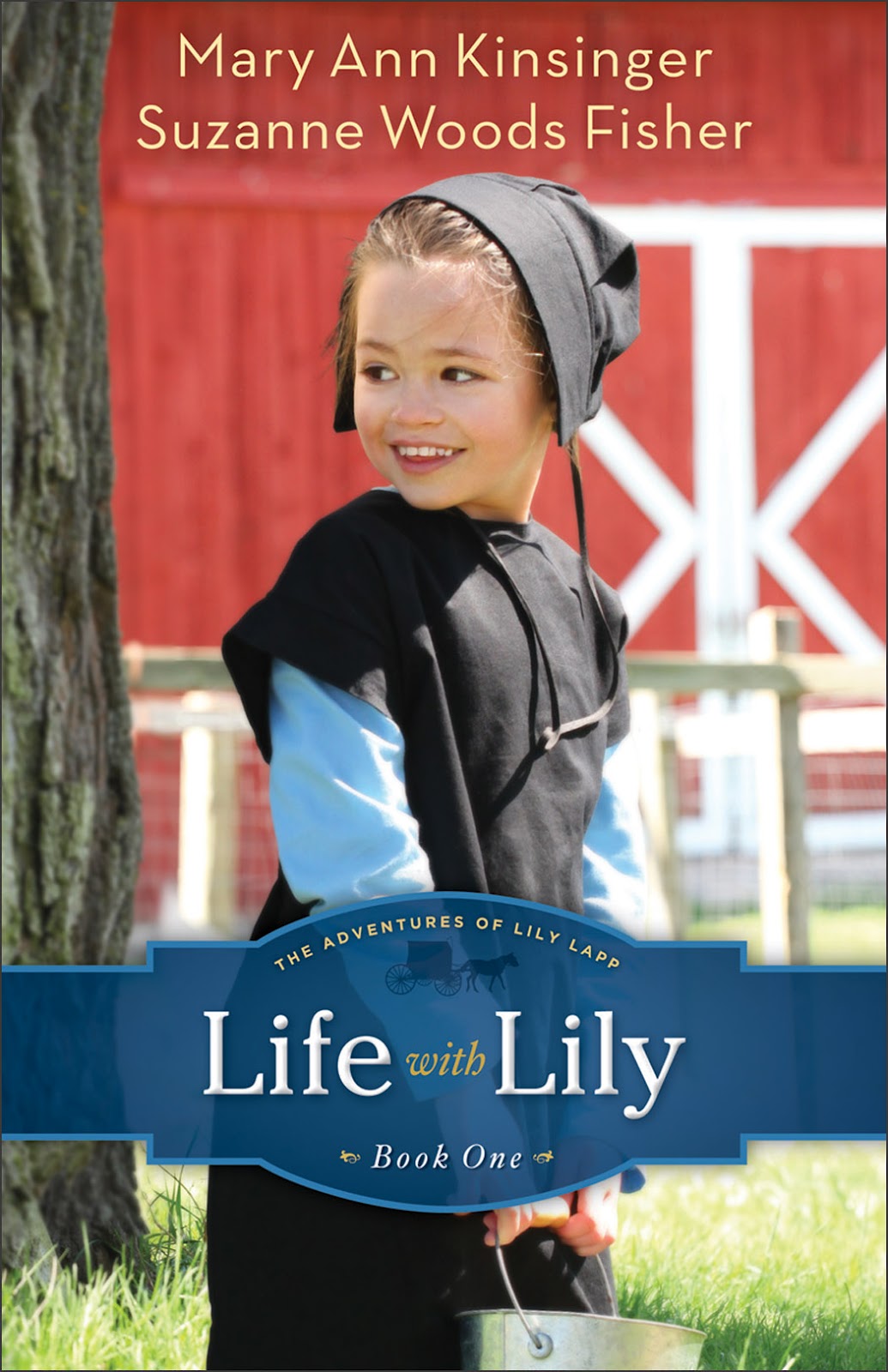 3 Types of Crazy: Book Review: Life with Lilly by Mary Ann Kinsinger ...
