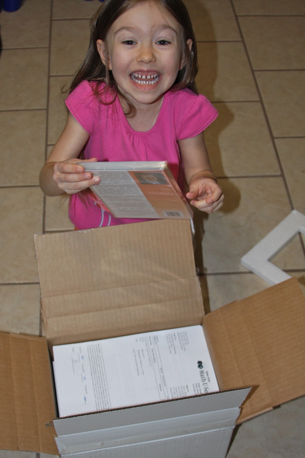 A Learning Journey Schoolhouse Crew Review Math U See Beta a-learning-journey-schoolhouse-crew-review-math-u-see-beta