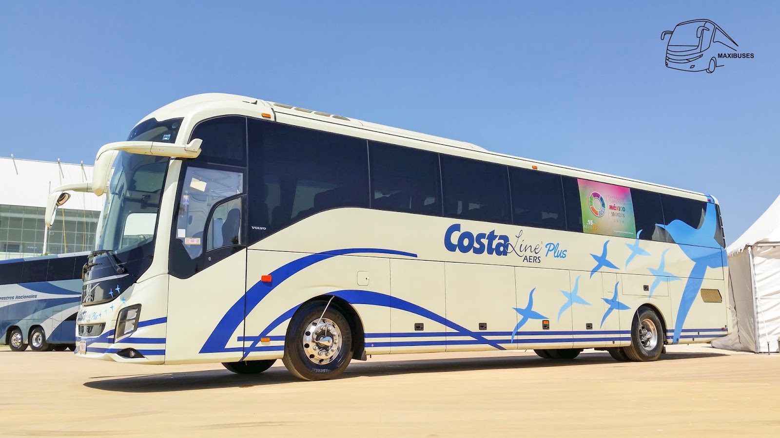 MAXIBUSES: COSTA LINE PLUS
