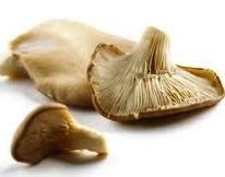 rainbowdiary: Recipe - Braised Oyster Mushroom And Xiao Bai Chye In ...