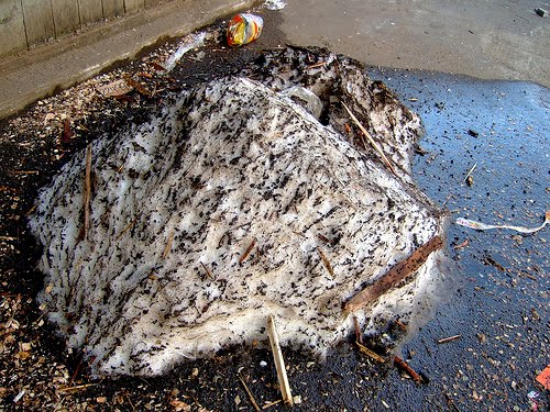 "uses time wisely" *: march-- the month of snirt and snain