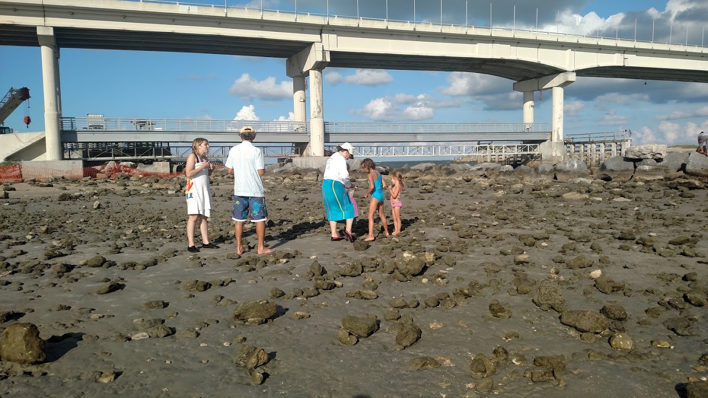 Florida: Tide Pools at Sebastian Inlet ~ Well Worn Suitcase