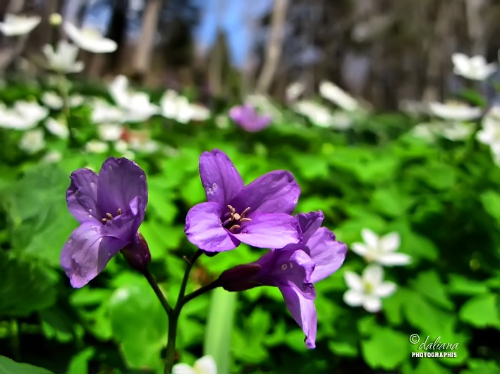 Photographis: May 2012