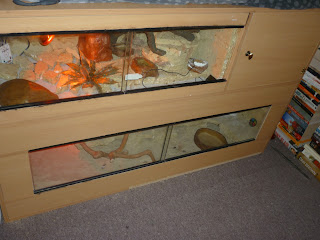 Custom Enclosures: Double Vivarium Cabinet Part Two