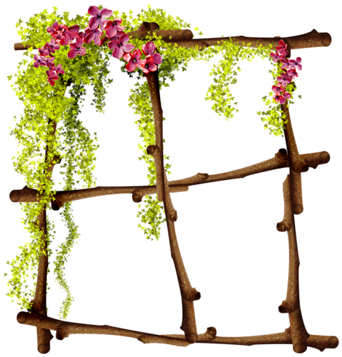 ForgetMeNot: Cluster spring frames