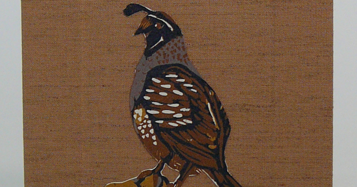 Birds of the Bible: Quail