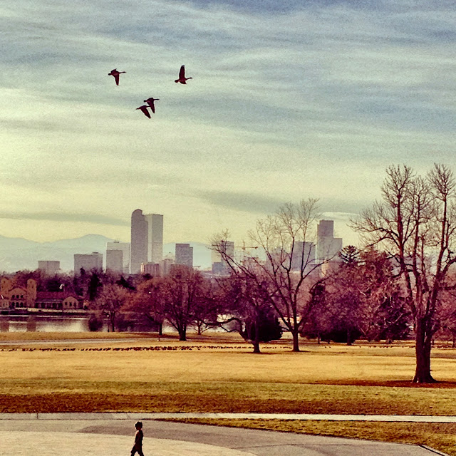 Sparrows & Spatulas: Denver O' Denver: An Extensive City Guide of ...