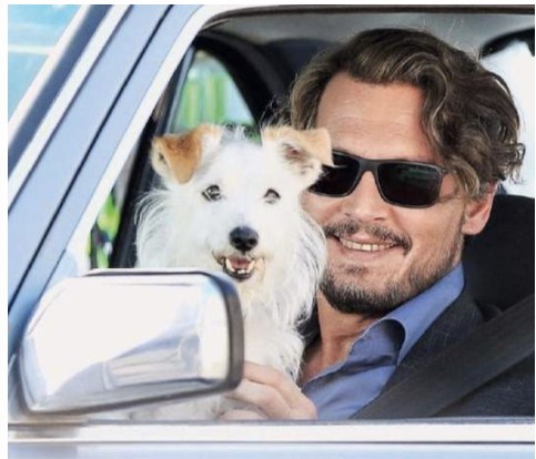 PERROS Y GATOS FAMOSOS: EL NUEVO HOLLYWOOD Y SUS PERROS Y GATOS II.