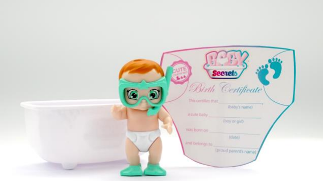 BABY Secrets - the new collectible to spend your Christmas money on ...