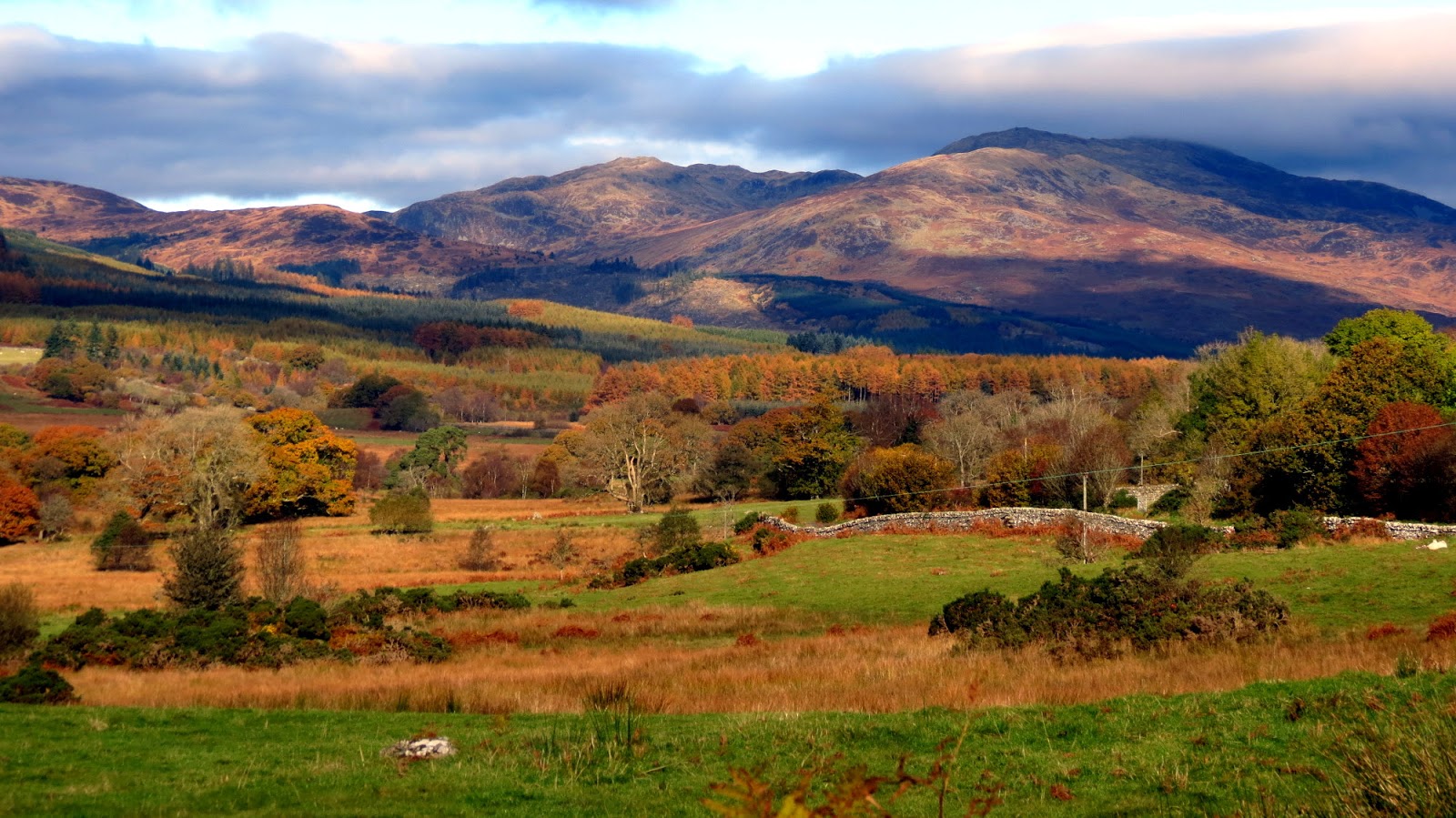 The Glebe Blog: A landscape walk in Galloway
