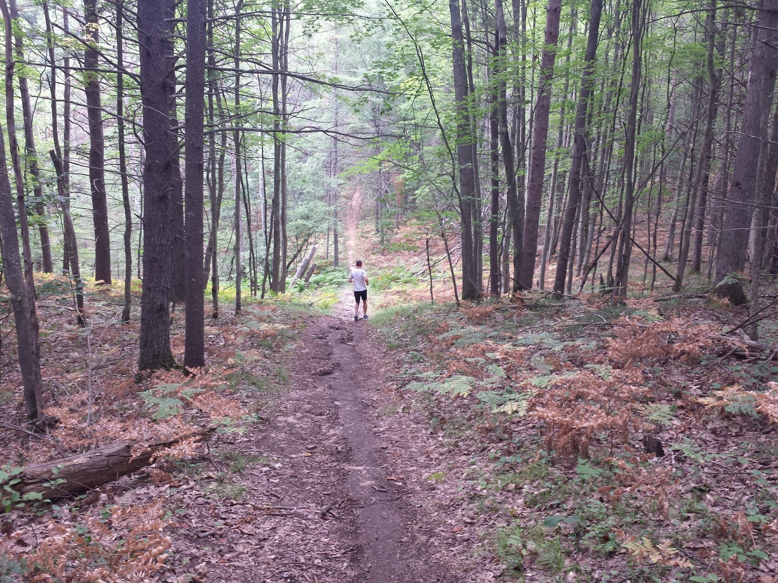 Early Morning Run: Three Northern Michigan Trails for Running