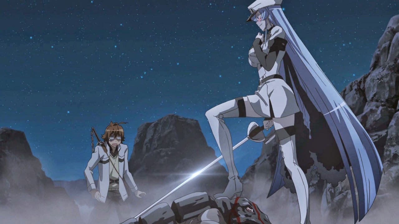 Opis anime Akame Ga Kill! Gra o tron w wersji anime? | Animeholik ...