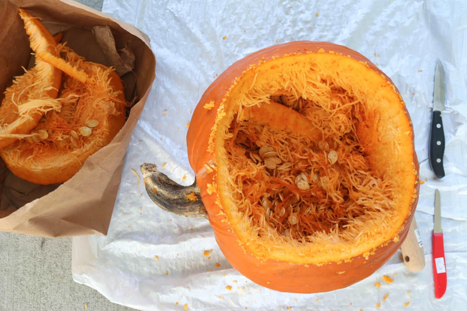 borrowed heaven: Fall Pumpkin Party Cooler