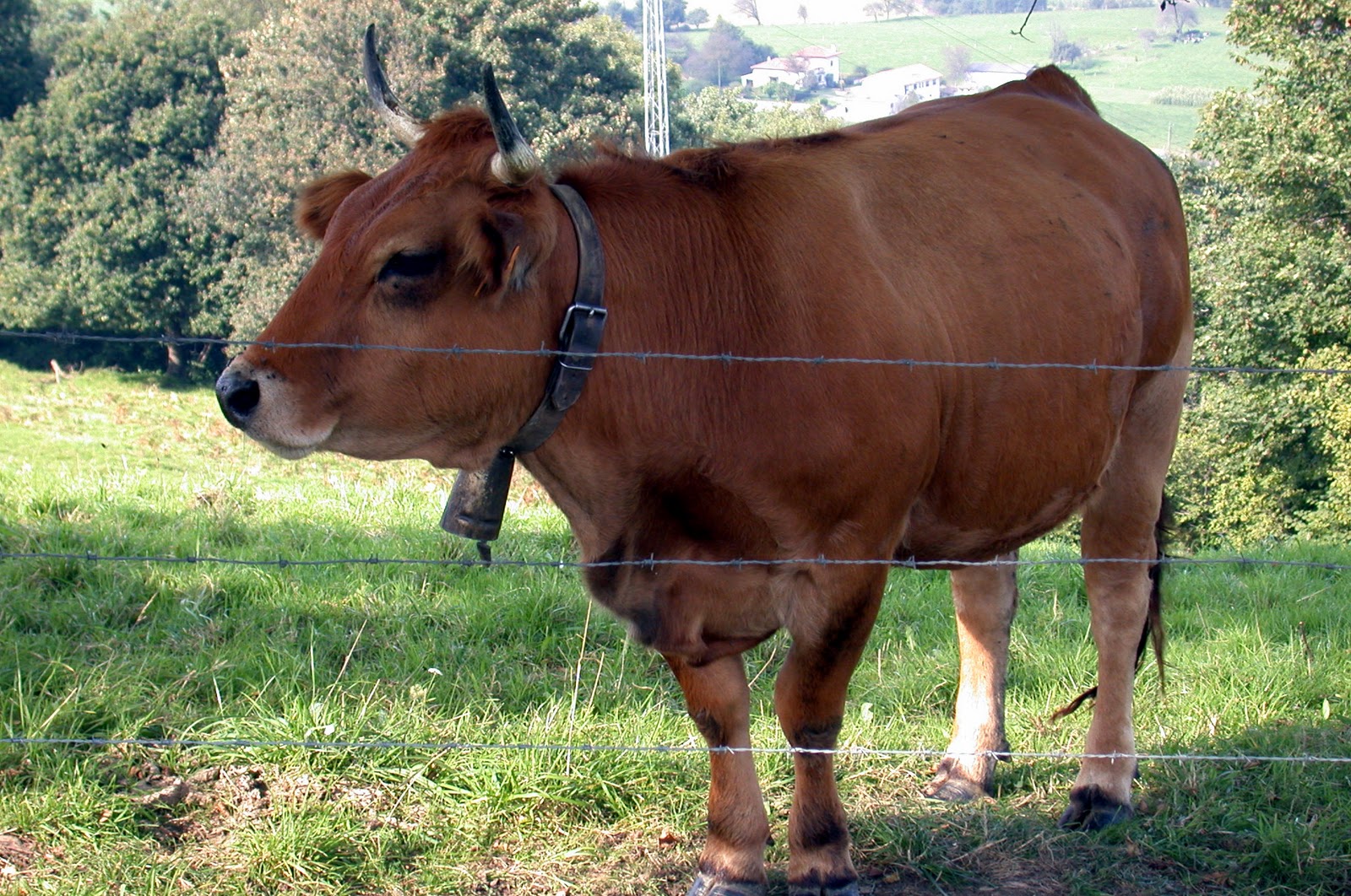 Alba García y Esther Capilla: 2011