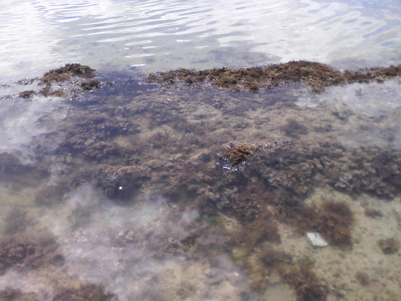 Desperta!!! Pra Terra viver.: O mar de Paramana