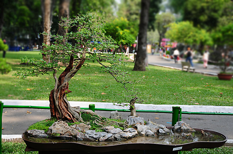 Breeze Me: Wonderful Miniature landscapes in Saigon, Vietnam