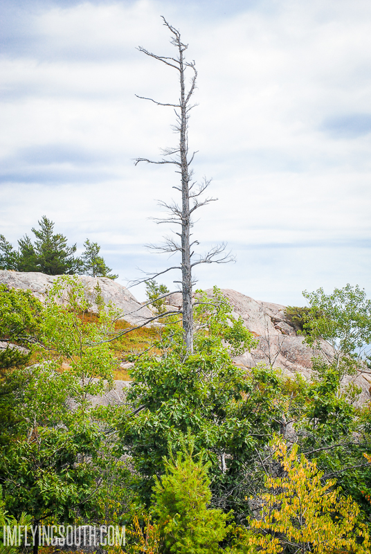 Hiking Hogsback Mountain - Marquette, Michigan. | I'm Flying South