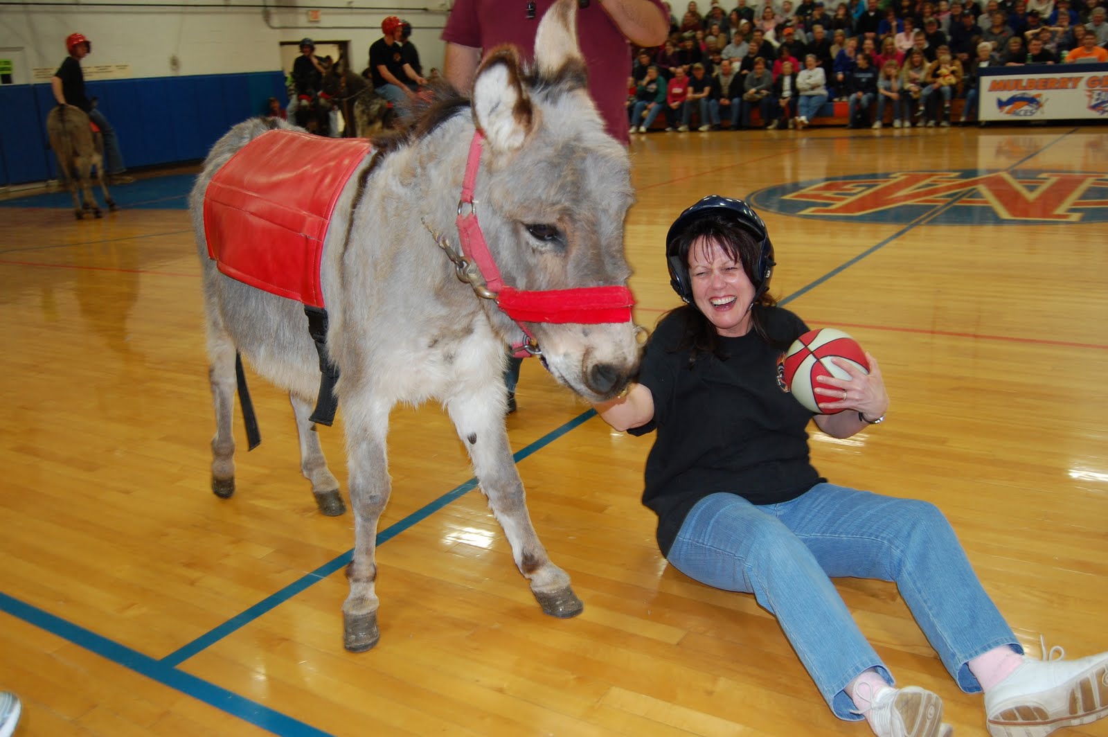 The Earnest Family: Donkey Basketball