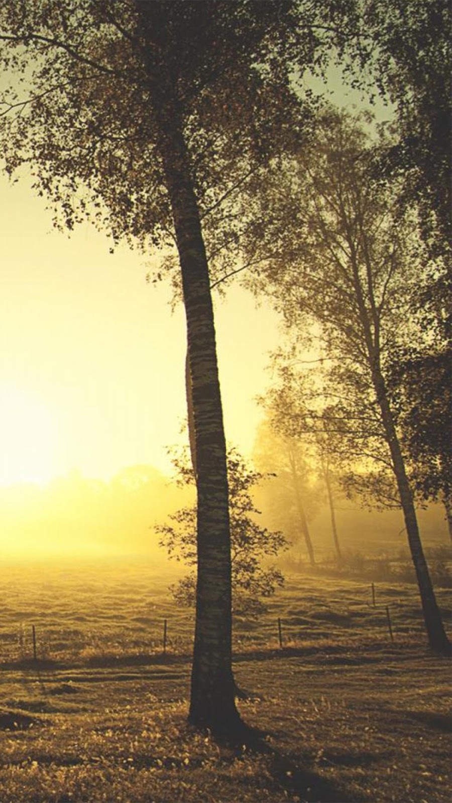 Fondo android pack 189