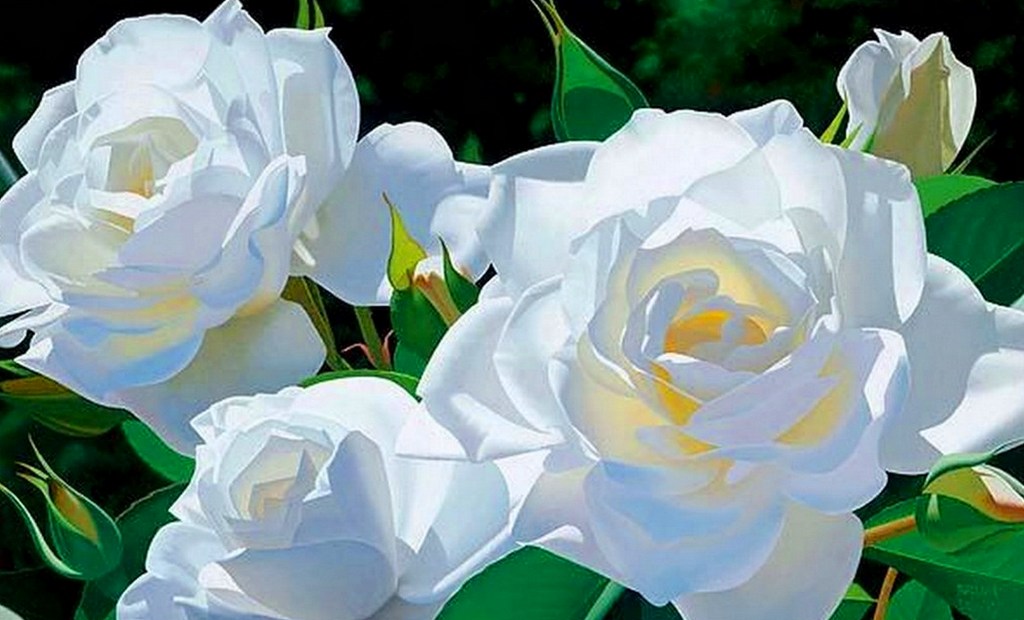 El arte es su máxima expresión : Cuadros de rosas pintadas al óleo