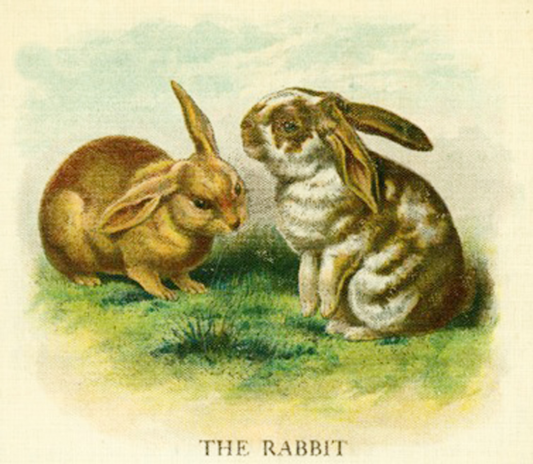 Mary Moorkens textile artist: First of July - RABBIT