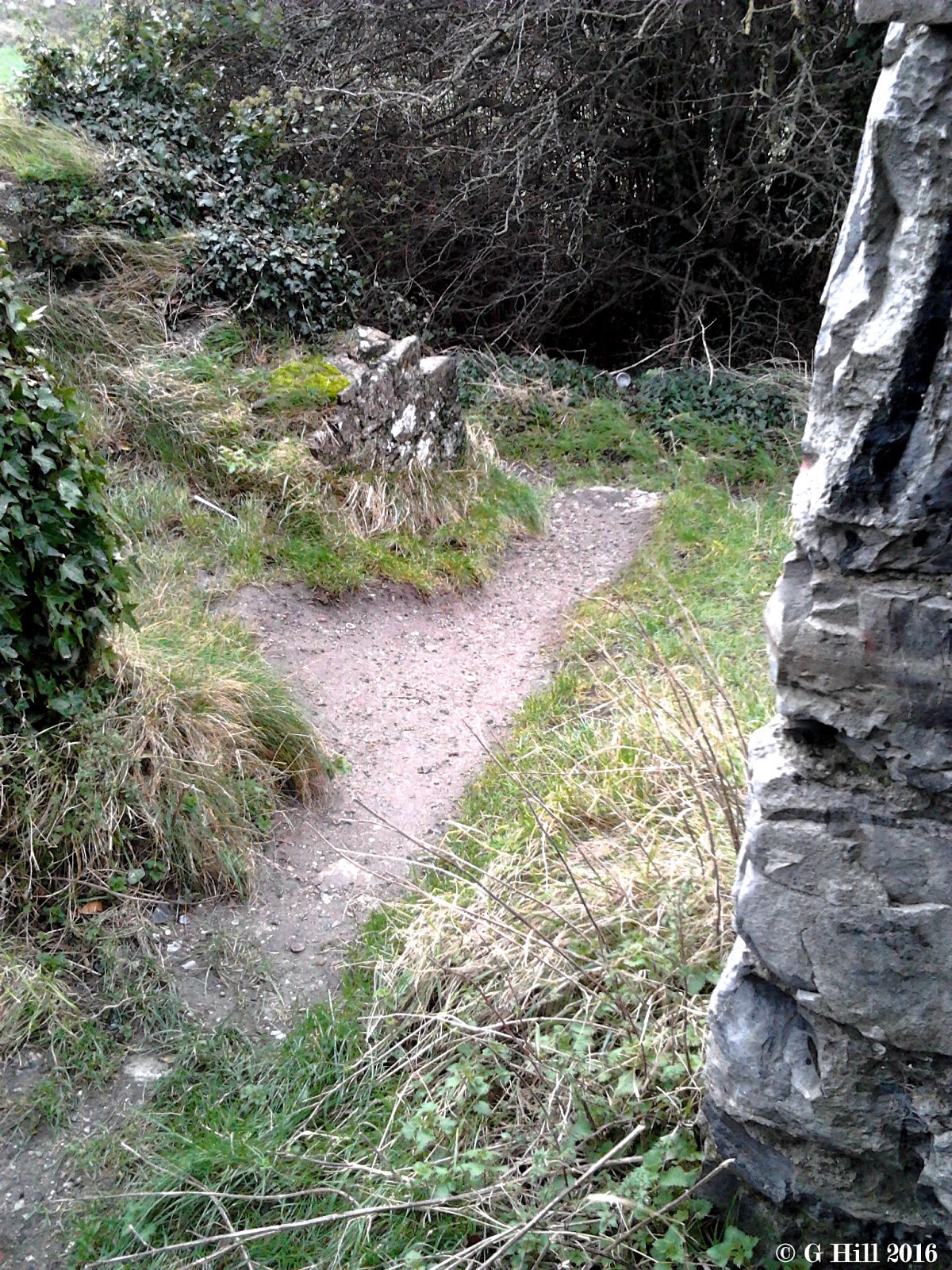 Ireland In Ruins: Ballymount Castle Co Dublin
