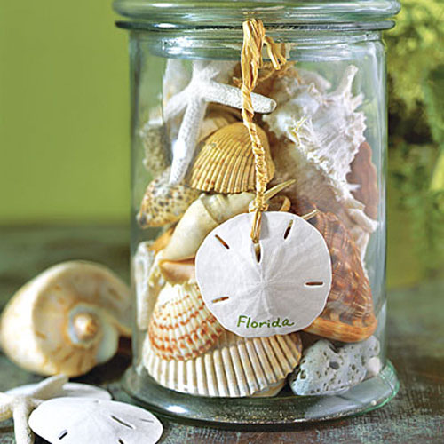 Live With What You Love: Adorable Decorative Seashell Dinner Plates for ...