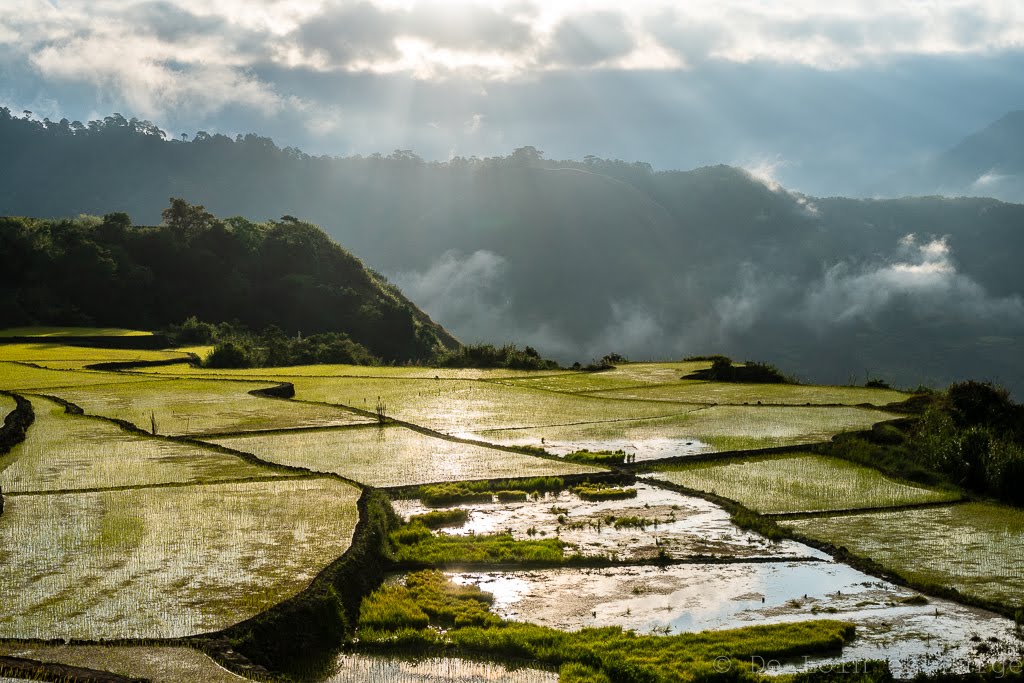 Philippines - jour 3 : De Buscalan à Sagada - de chair et d'os