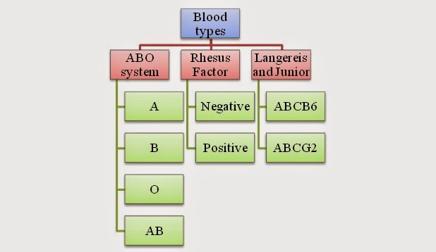 Immunology: New blood types: Langereis and Junior.