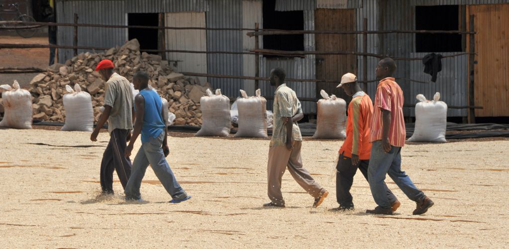The Tenwek Phenomenon: Day #3: October 26, 2012 Arrival in Nairobi ...