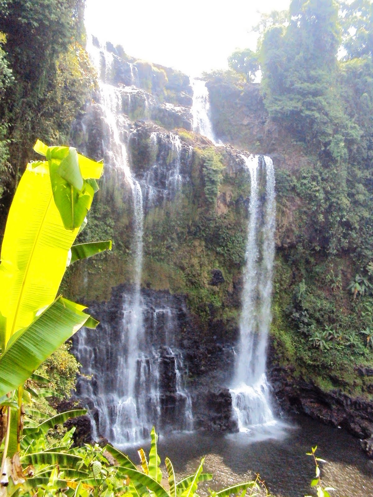 The Travelbug: Day Tour in Bolaven Plateau