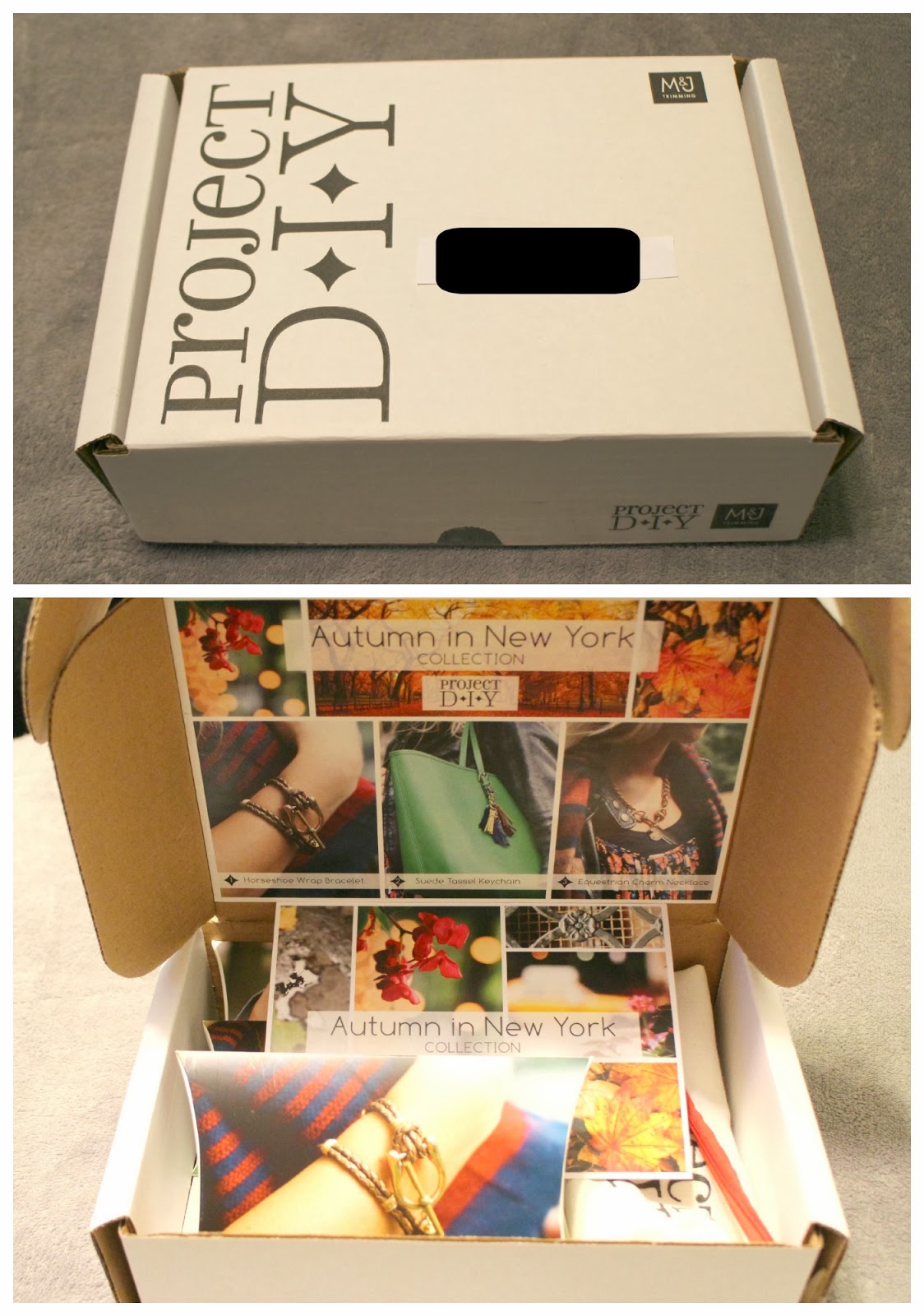 Tickled Pink in the Rain: New DIY Subscription- Project DIY Debut Box ...