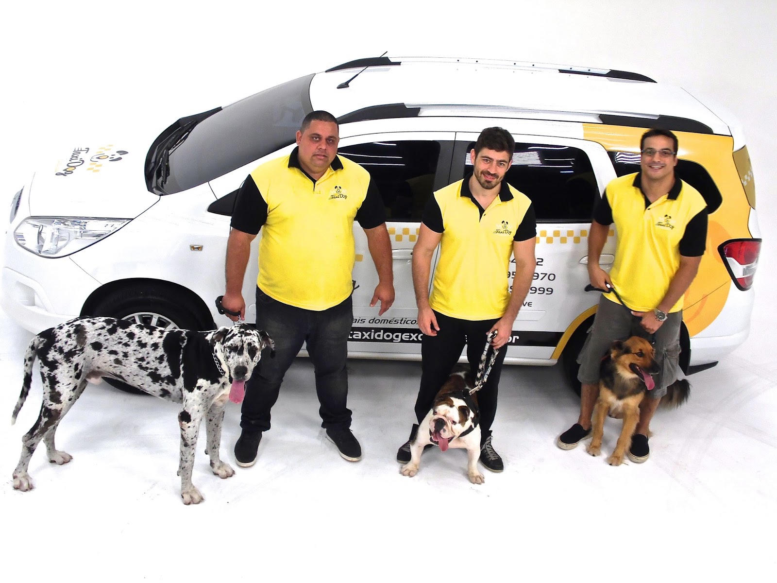 TAXI DOG EXCLUSIVE - RJ