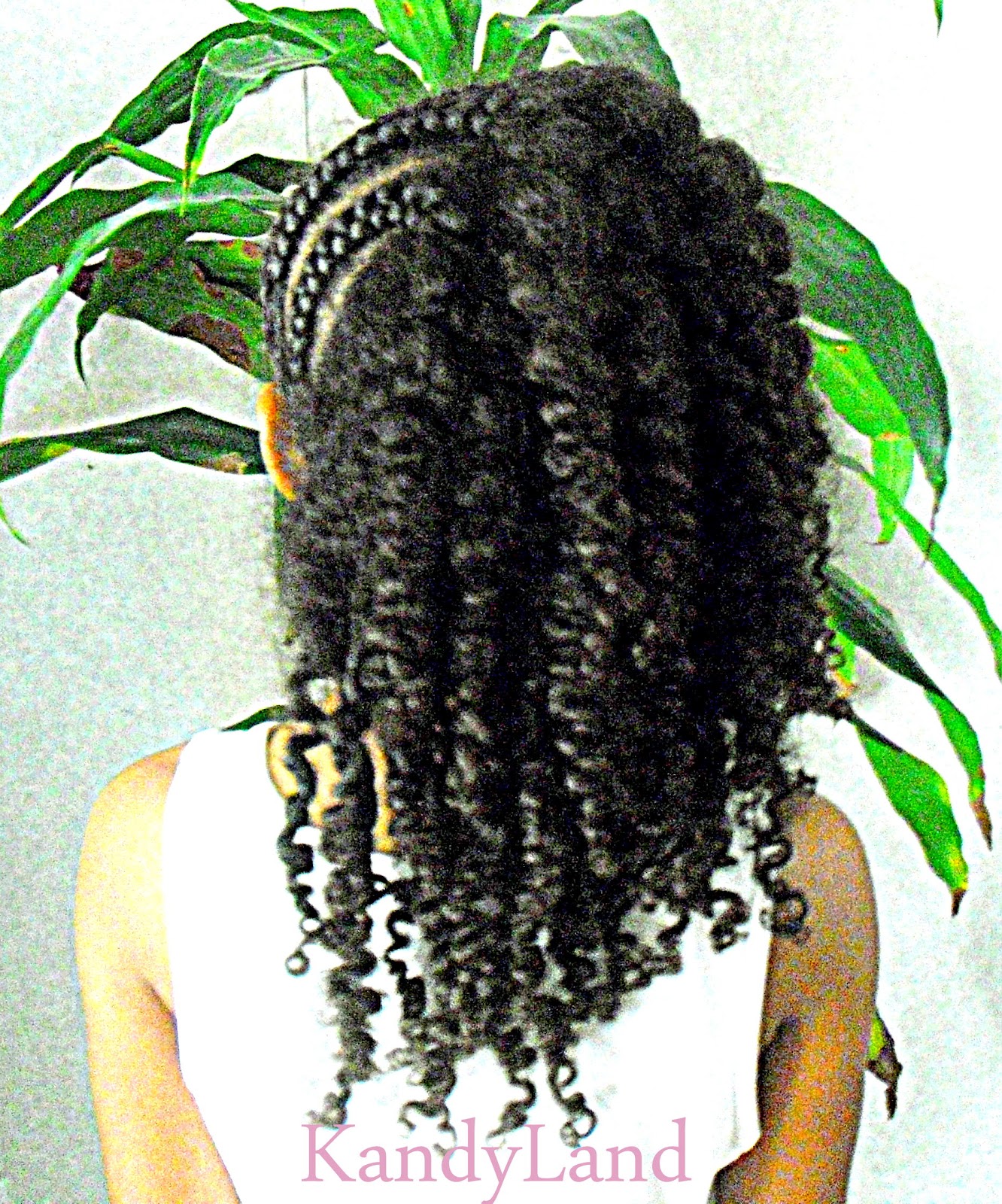 KandyLand: Side Cornrows With Twists: Updated