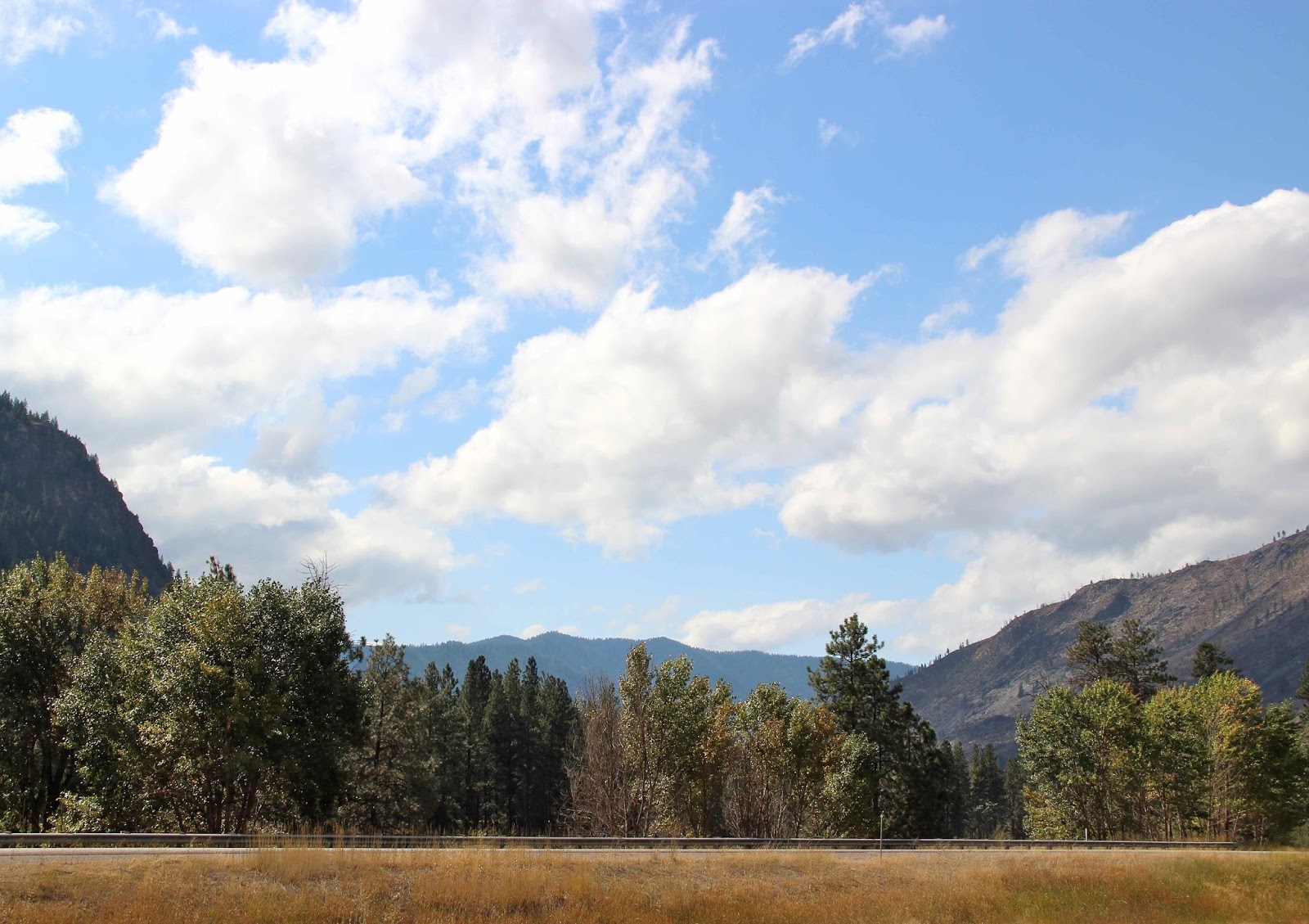 In the Company of Plants and Rocks: FFF: Glacial Lake Missoula