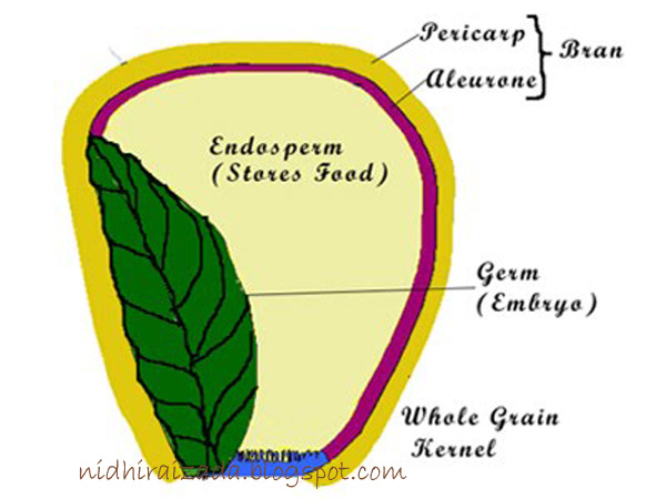 It's Indian Everyday: Bran