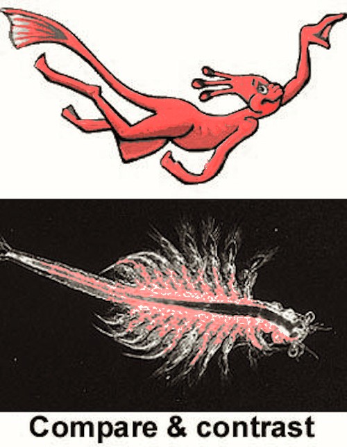 ShukerNature: A SHORT HISTORY OF SEA-MONKEYS - FROM COMIC-BOOK ...