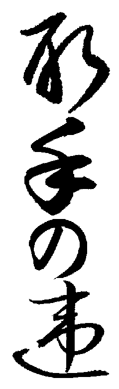 Tuite Jutsu (Personal training/teaching methodologies in Te)