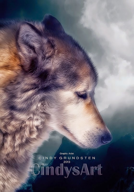 White Wolf : Enchanted Fantasy Wolf Digital Art of Cindy Grundsten ...