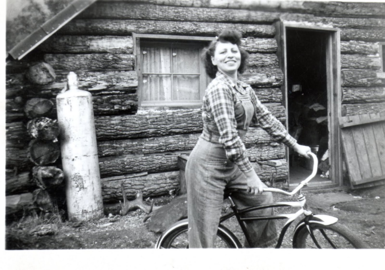 Grampa Stan Stark's Thoughts: The Buffalo Mine near Palmer Alaska