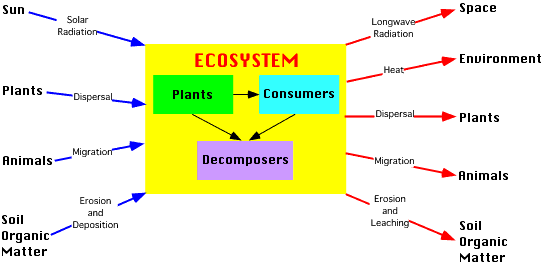 Environmental Sciences Concept Of An Ecosystem environmental-sciences-concept-of-an-ecosystem