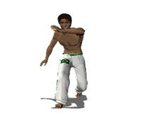 Educação Física - Ribeirão Preto: Principais Movimentos da Capoeira