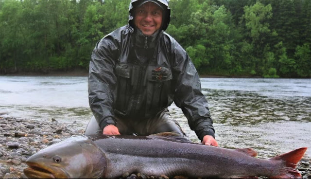 Chavanga Fish Blog: Hucho taimen fishing. Giant fish. Part 4.
