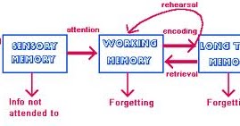 PSYCHOLOGY OF LEARNING: Long-Term Memory