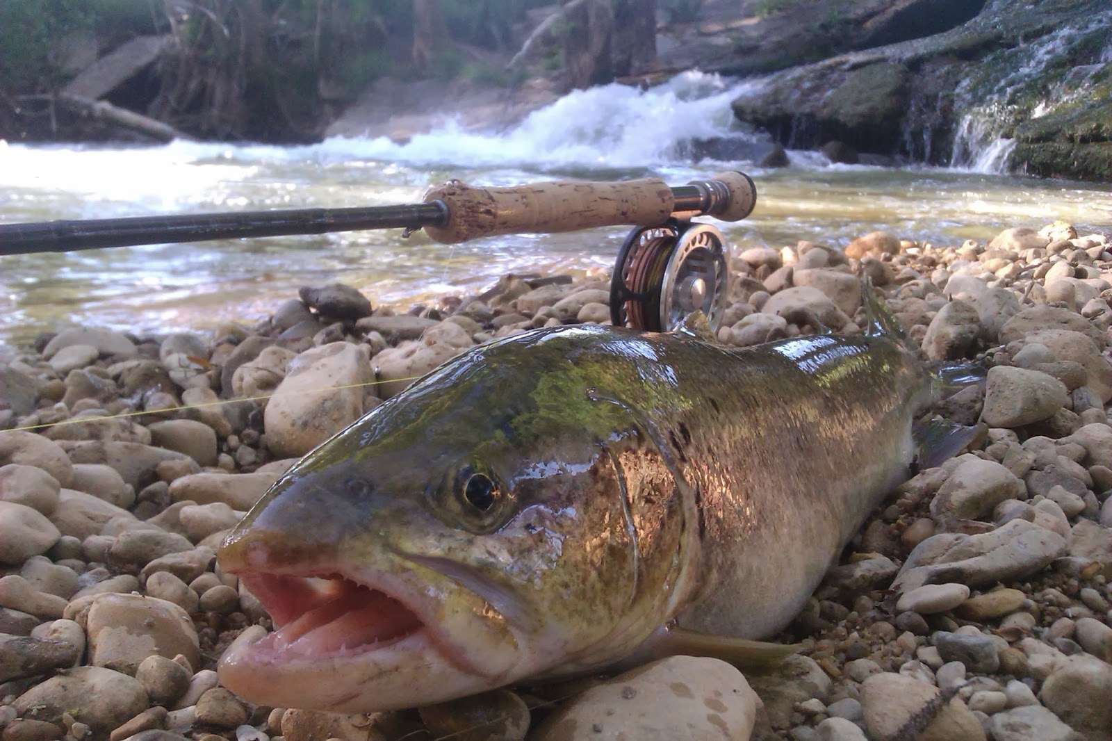 Escapadas para todos: De pesca por los ríos de la Ribera del Duero ...